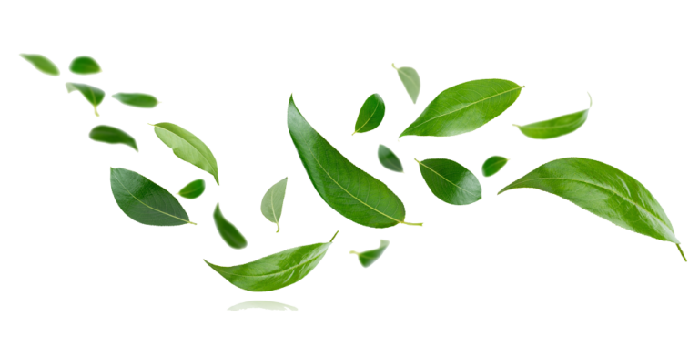 Lawn Care | Fertilizer | Weed Control | Aeration - Buffalo MN